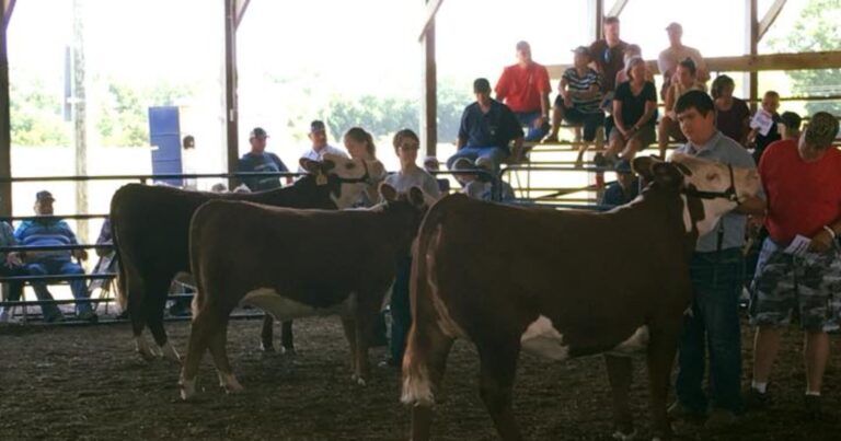 Home - The Howard County Fair